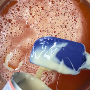 Homemade Orange Sherbet Push Up Pop Recipe