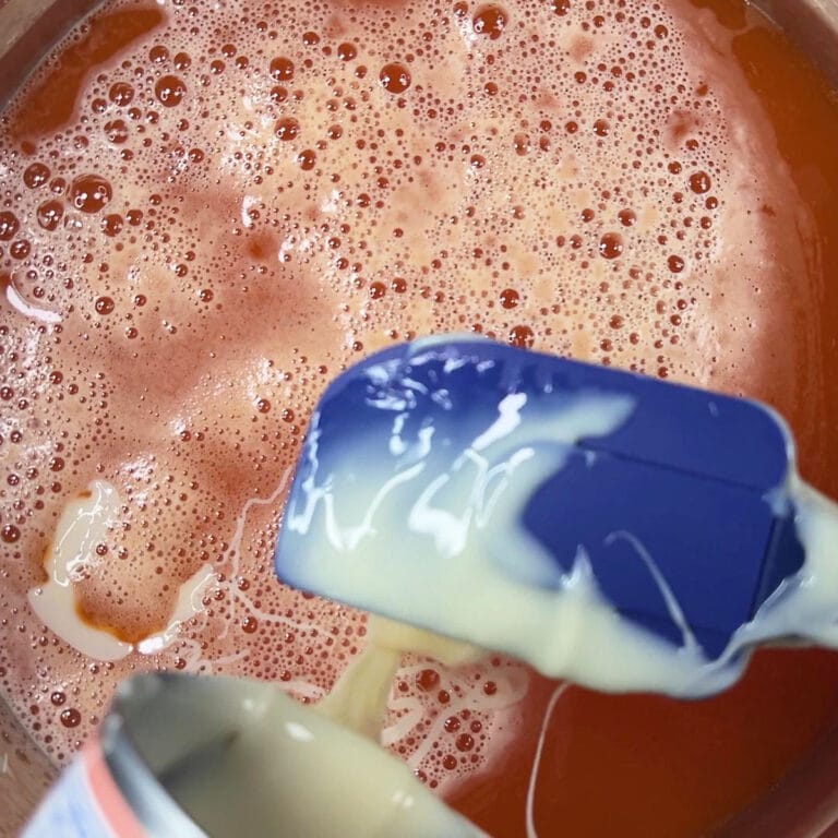 Homemade Orange Sherbet Push Up Pop Recipe