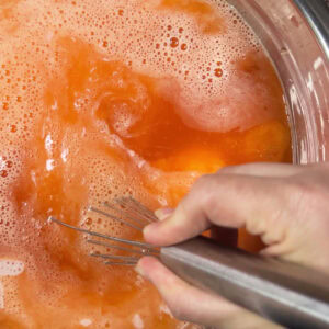 Homemade Orange Sherbet Push Up Pop Recipe