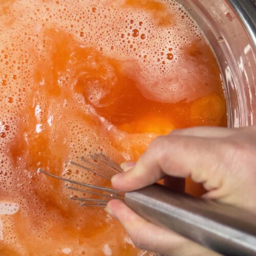 Homemade Orange Sherbet Push Up Pop Recipe