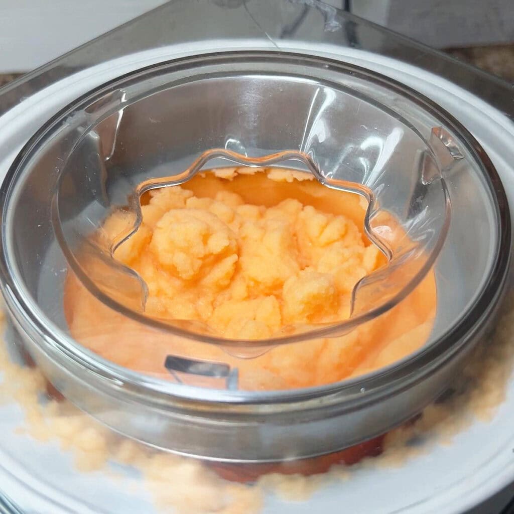 Homemade Orange Sherbet Push Up Pop Recipe