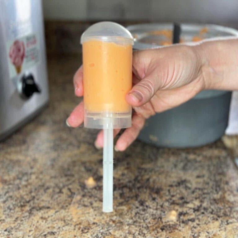 Homemade Orange Sherbet Push Up Pop Recipe