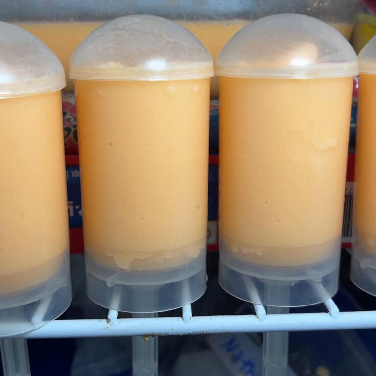 Homemade Orange Sherbet Push Up Pop Recipe